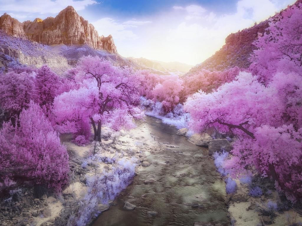 The best infrared photography from around the world