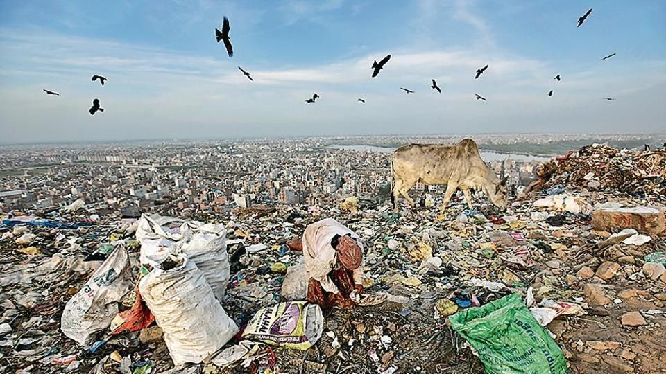 North MCD plans ‘dry tomb’ over Bhalswa landfill,…