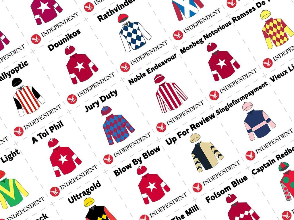 Grand National 2019 sweepstake kit: Download, print…