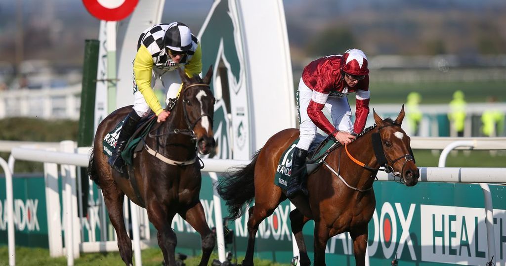 Grand National sweepstake kit PDF poster 2019:…