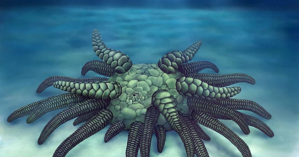 Scientists discover 430-million-year old sea creature…