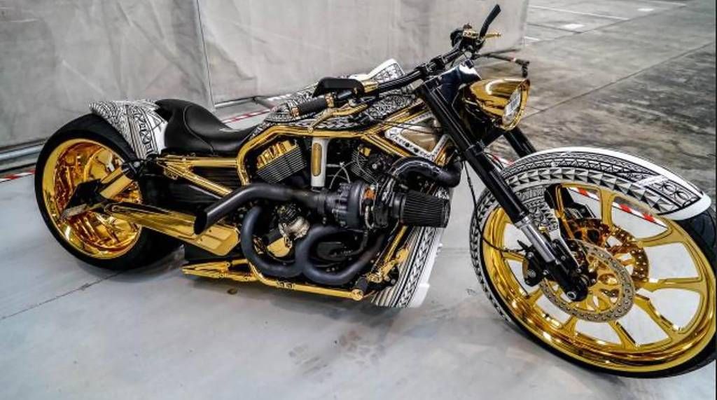 International drug syndicate Sinaloa cartel was…