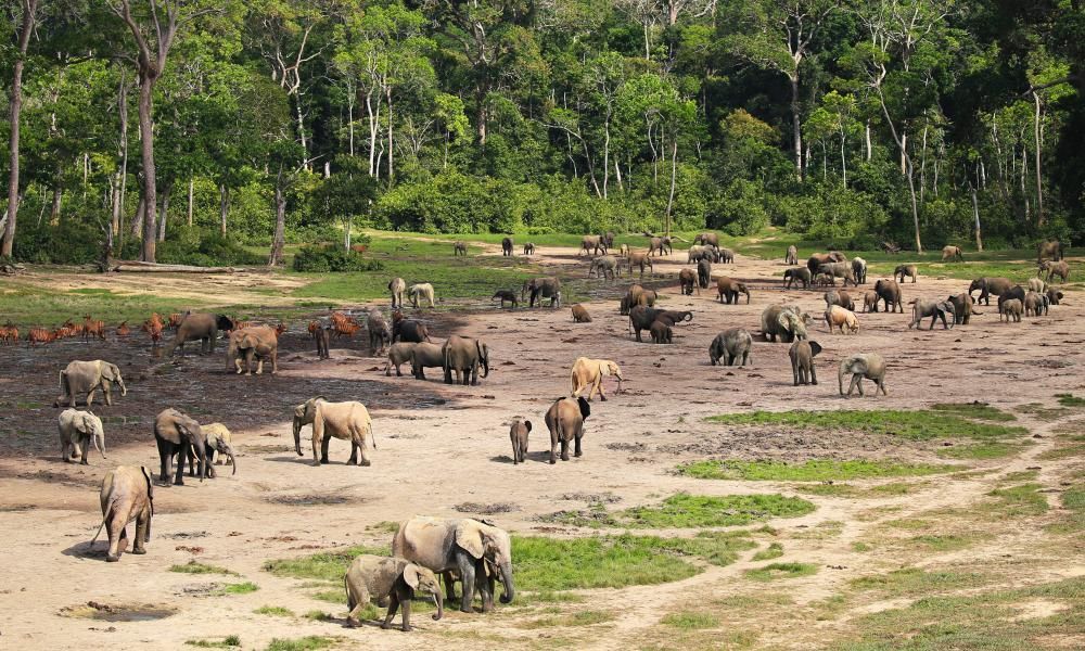 Earth from Space review – hold on to your tinfoil hats!