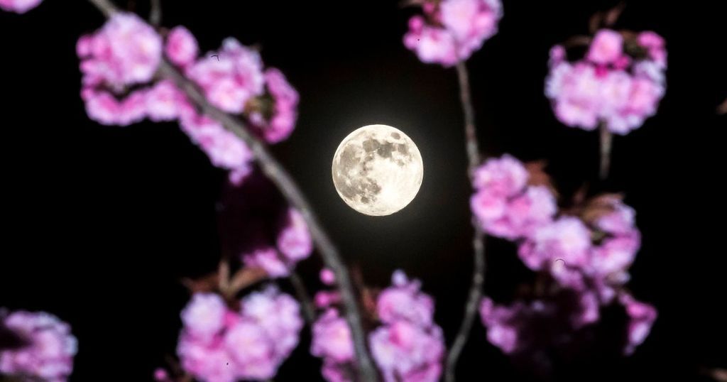 Pink Moon visible tonight - here's when to spot it