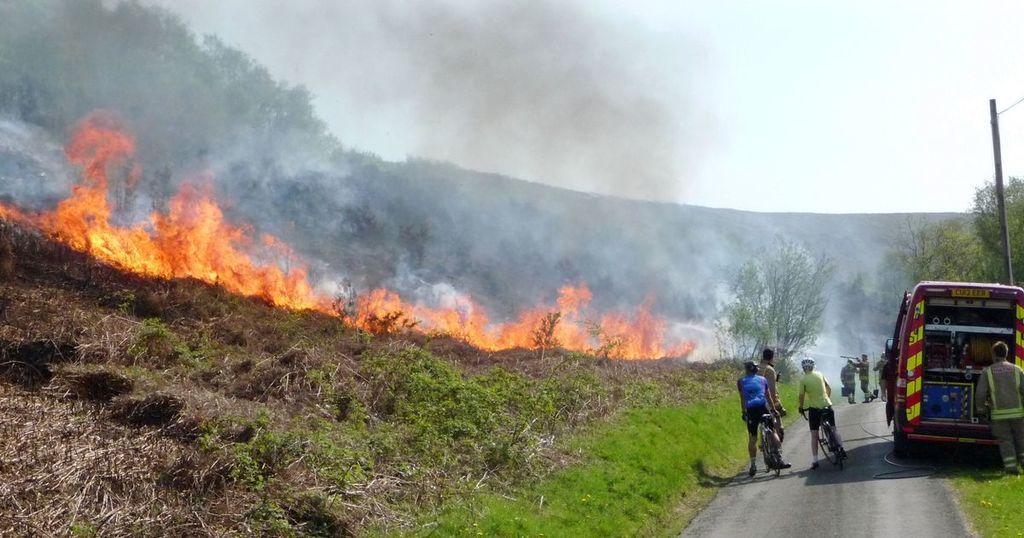 Shocking pictures show grass fire ripping through open…