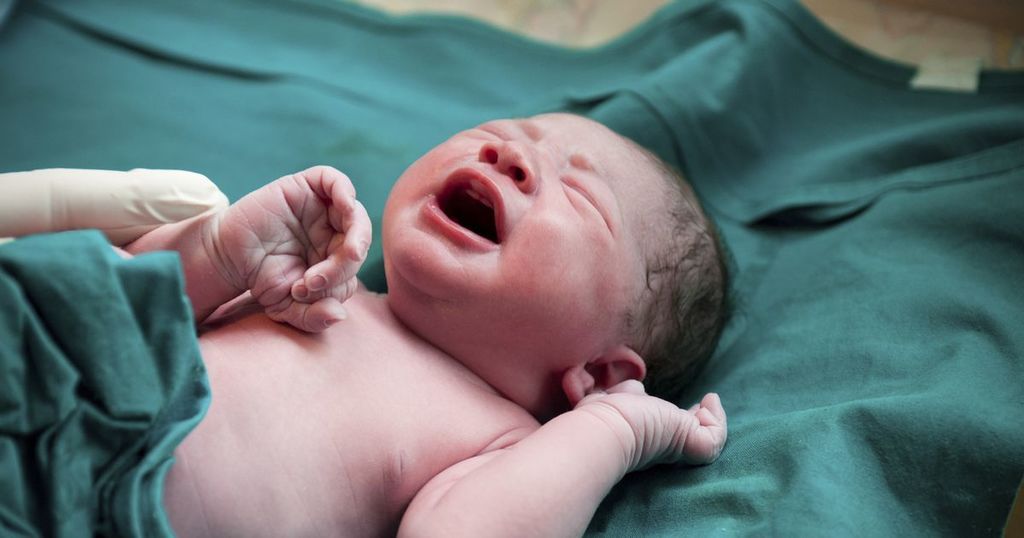 Merseyside's biggest babies - how big are Scouse…