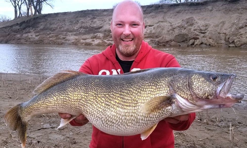 Massive walleye catch sets record, but how long will…