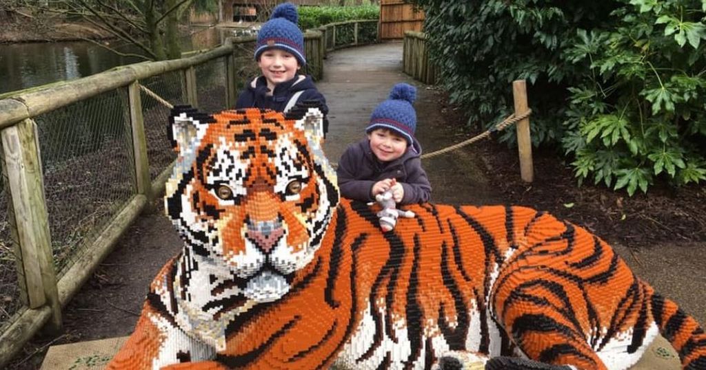 Final chance to see the giant Lego Big Cats trail at…
