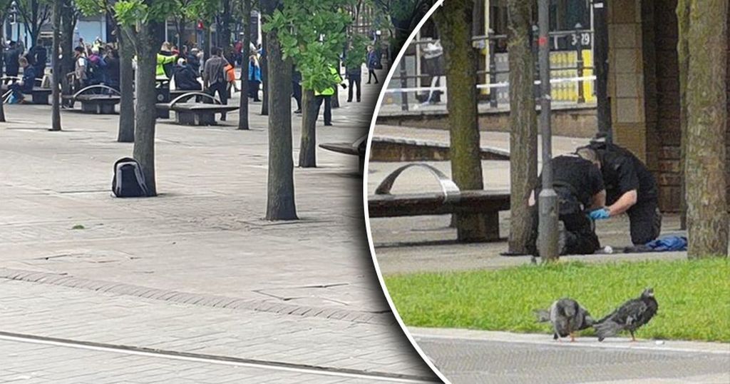 The moment police searched 'suspicious' backpack after…