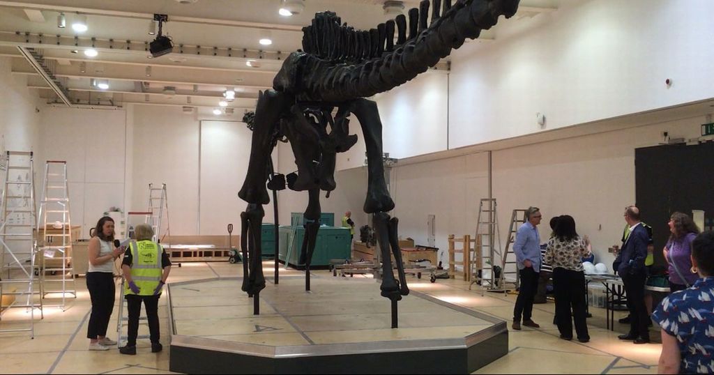 See Dippy in Newcastle as giant dinosaur skeleton is…