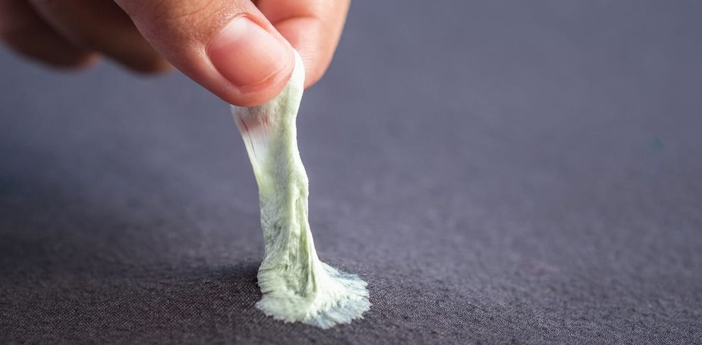 DNA from 10,000 year old chewing gum reveals the…