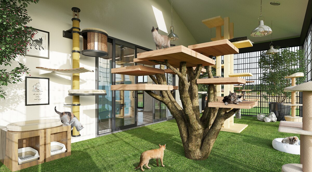 Pet Refuge: A look inside the shelter that will house…