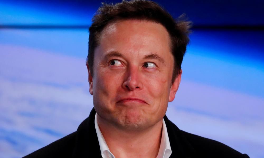 Elon Musk hires man behind 'absolute unit' sheep meme…