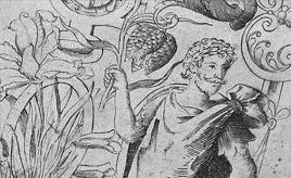 Shakespeares real face appears in 400yearold botany…