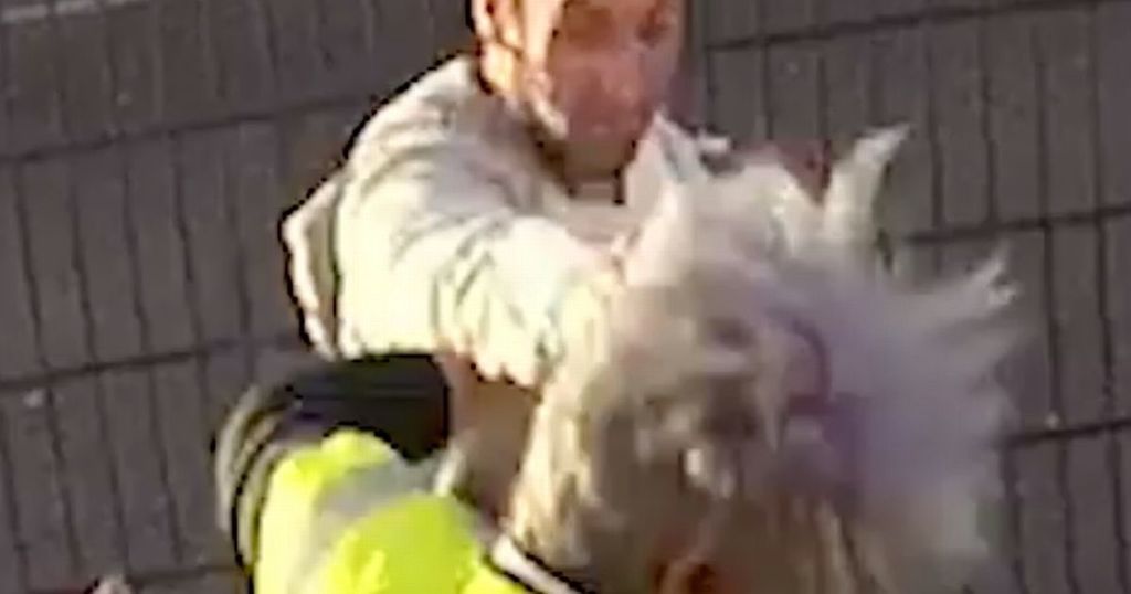 Football fan too drunk to enter stadium slaps female…