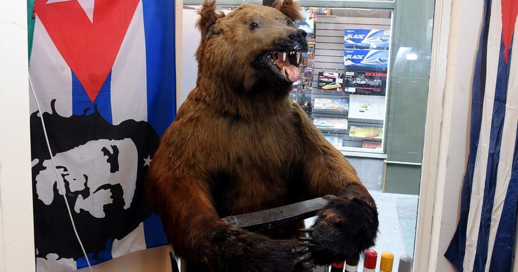 The story of the Bear Shop and Cardiff's famous…