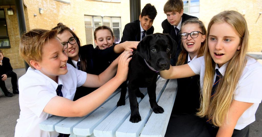 This Cardiff high school has bought its own beautiful…
