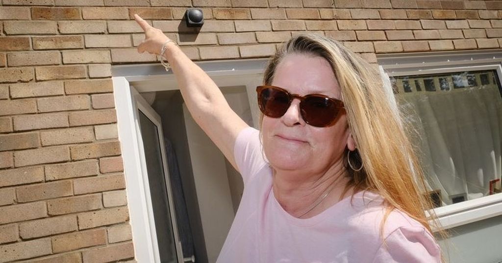 Woman's horror after being bitten on forehead by…