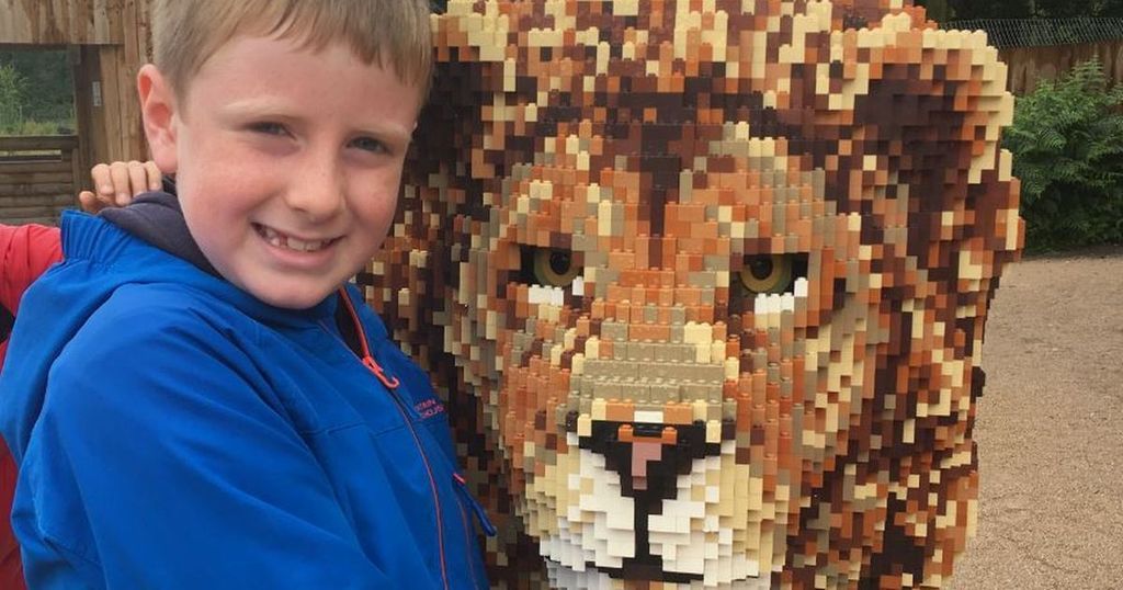 Take a look at the giant Lego animals in Knowsley…