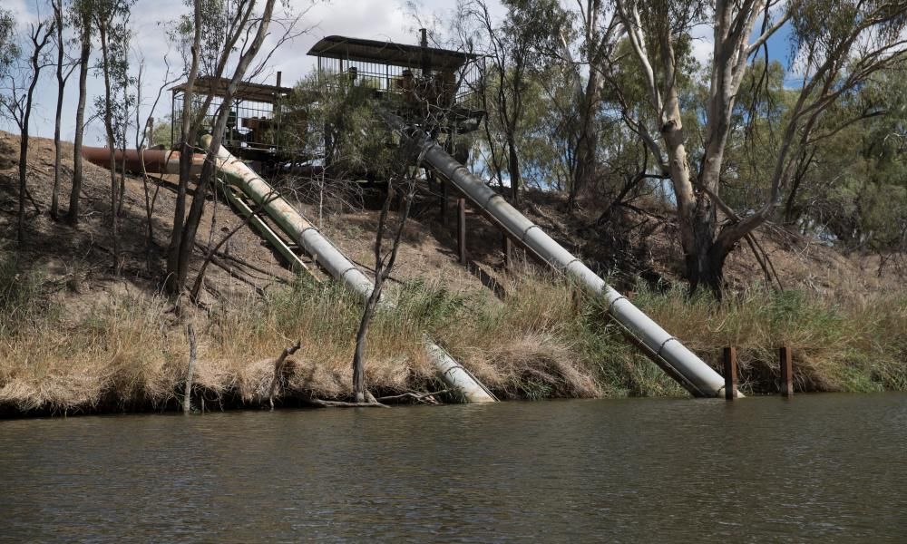 Barwon-Darling river ecosystem on path to collapse,…