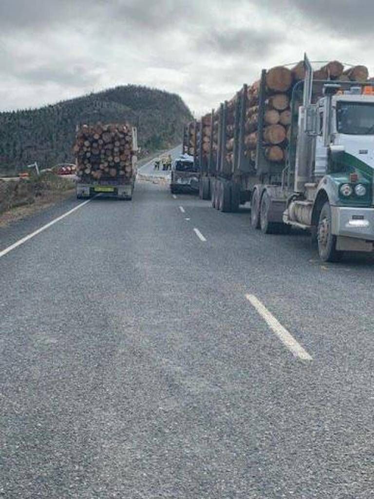 Hearses arrive at fatal forestry crash which killed…