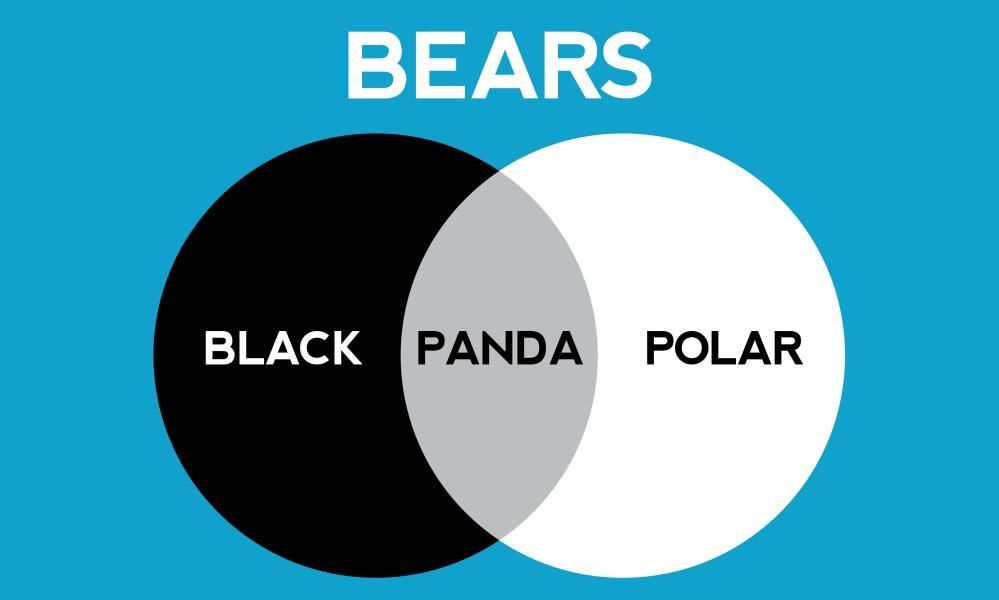 Can you solve it? The enduring appeal of Venn diagrams