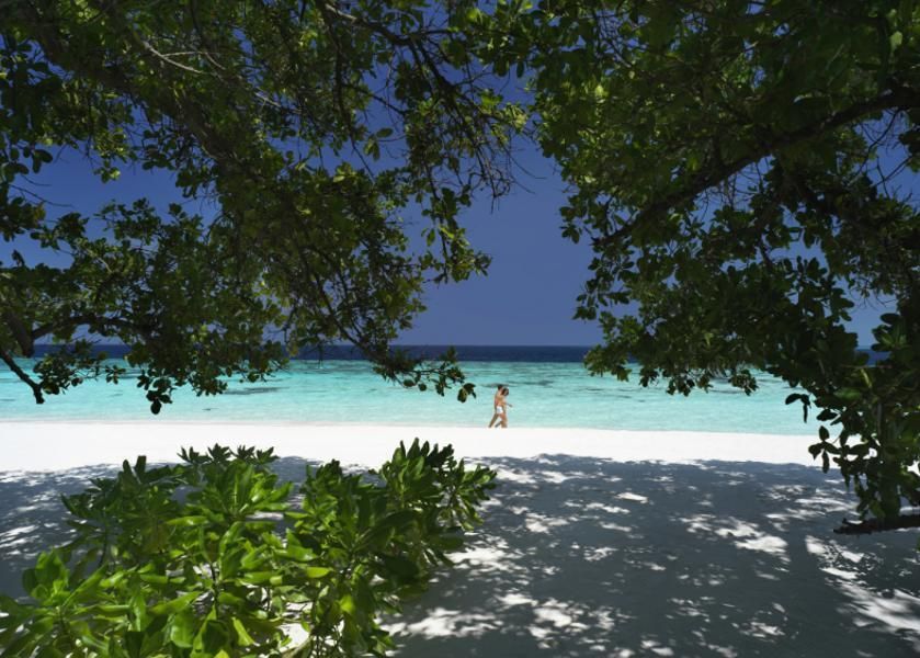 Why You Need To Visit The Baa Atoll Now