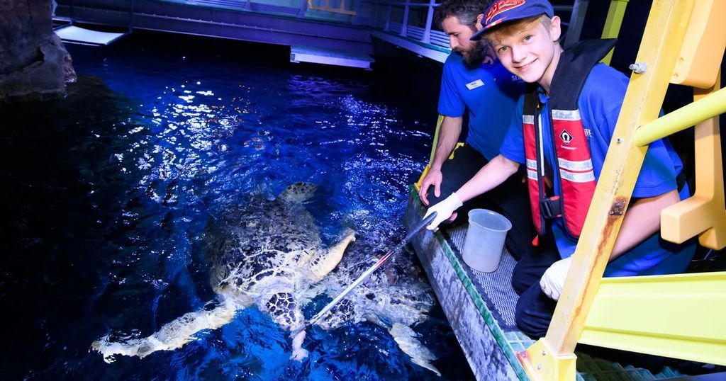 Edinburgh teen bitten by shark in Bahamas faces fears…