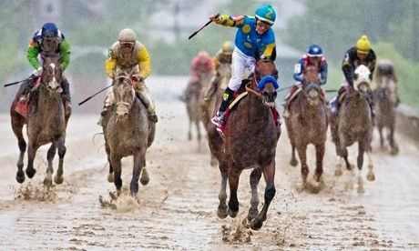 If I love animals, how can I love horse racing? It…