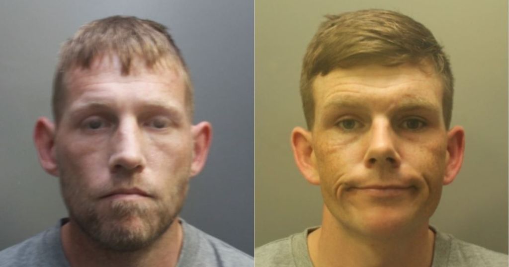 Moaning drug addict D'Arcy brothers just can't keep…