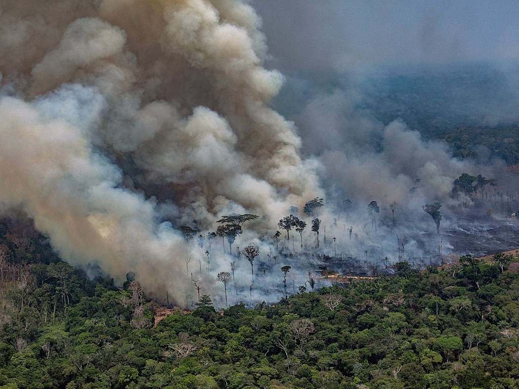 Amazon fires: Brazil sends warplanes to dump water on…