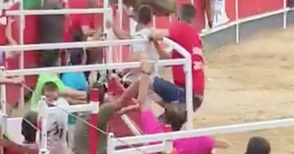 Bullfighting crowd flee in terror as bull leaps into…