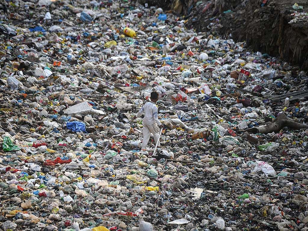 From the Stone Age to the Plastic Age: Pollution in…