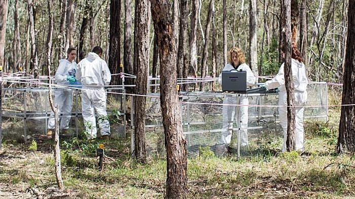 Human body farm research uncovers 'astounding'…
