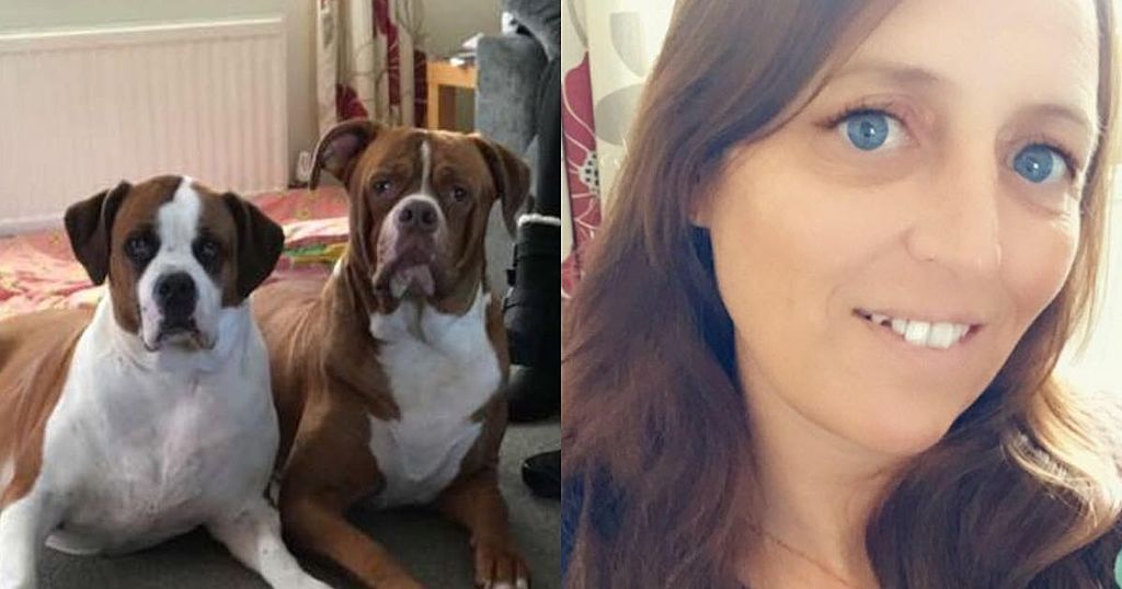 First picture of killer dogs who mauled woman to death…