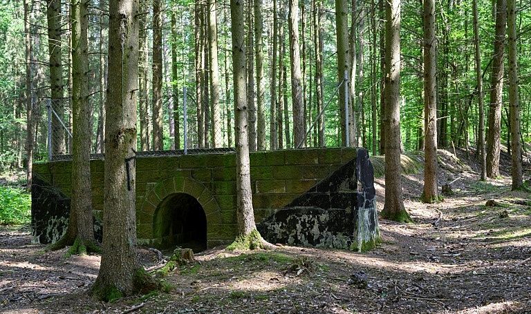 Ghostly Nazi-era motorway resurfaces in German forest