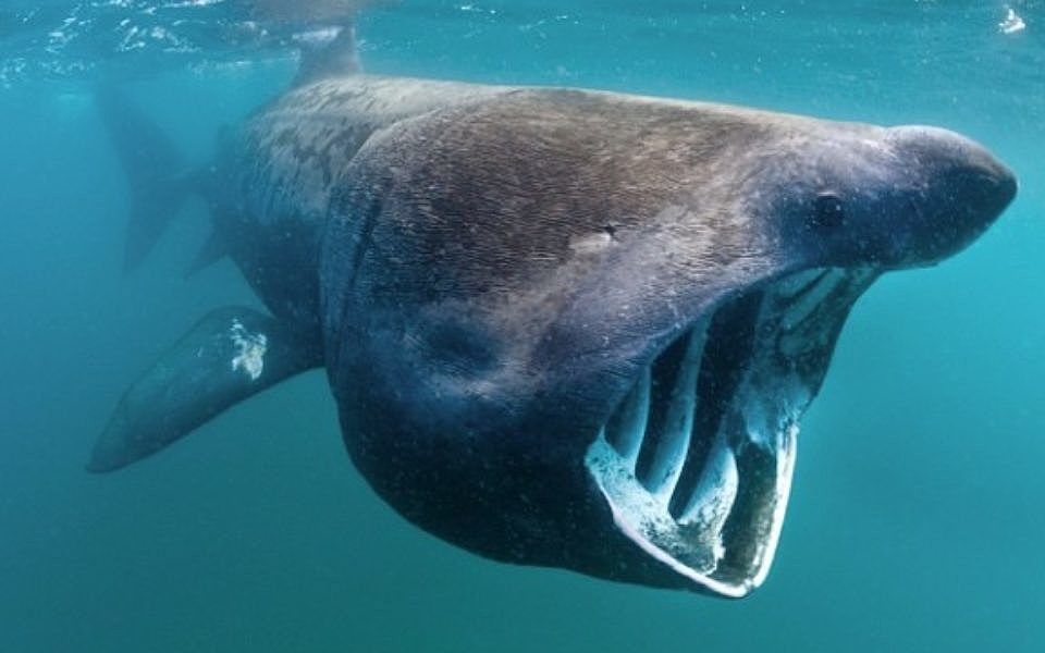 The incredible coincidence that revealed bizarre…