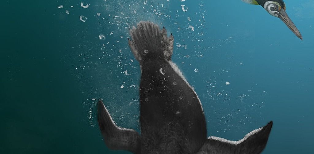 Happy 6ft: ancient penguins were as tall as people.…