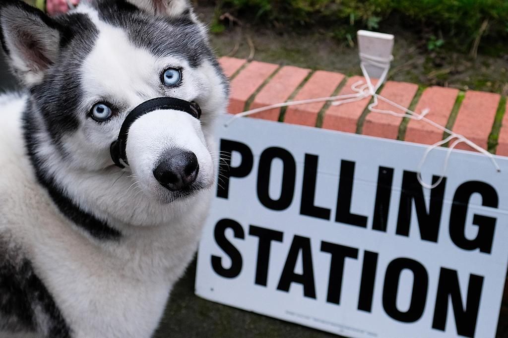 General Election 2019: The best photos of dogs at…
