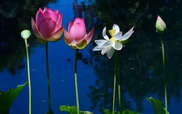 Spot the difference between sign and symbol