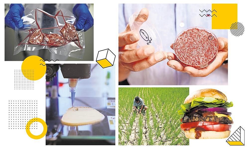 Food in 2050: bacon grown on blades of grass and…