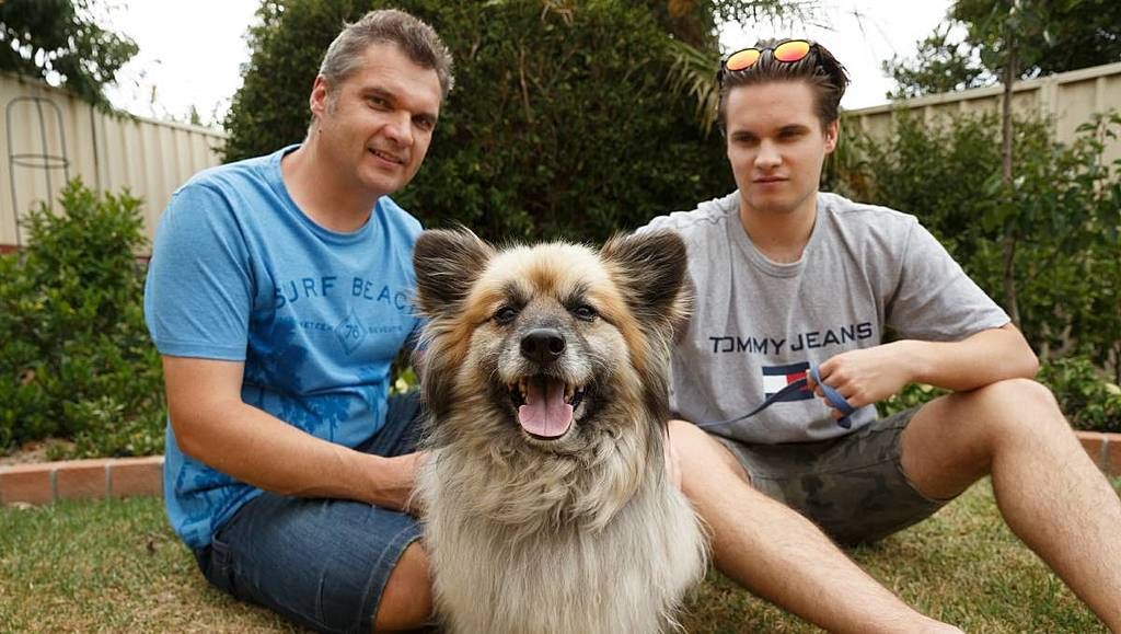 Charlie the dog cops a rare bite in Lambton backyard