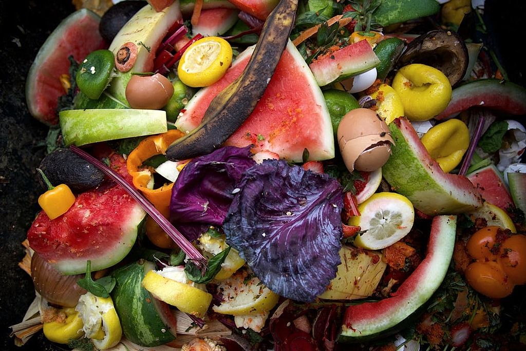 Scientists developed a new way to turn food waste into…