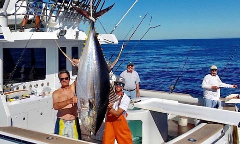 Rare ‘super cow’ tuna caught off Cabo San Lucas