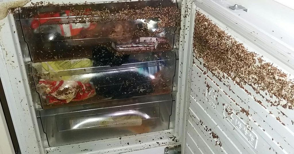 Stomach-churning photos of Essex house with…