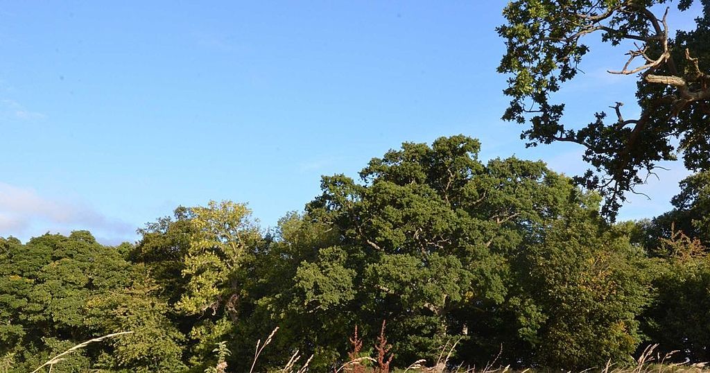 Thousands object to destruction of 'irreplaceable…