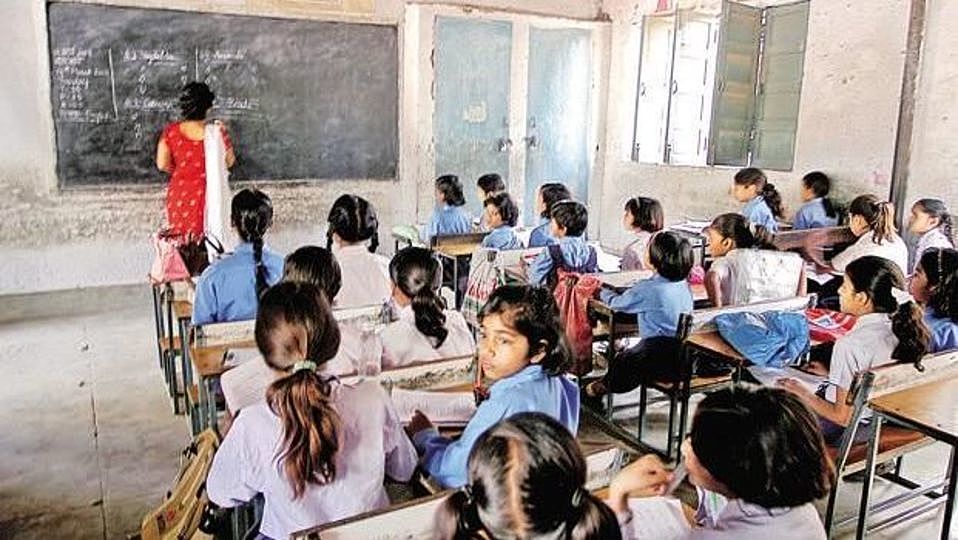 A tale of two horses and what it tells us about our…