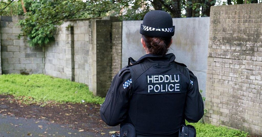 Nine police officers in one Welsh police force…