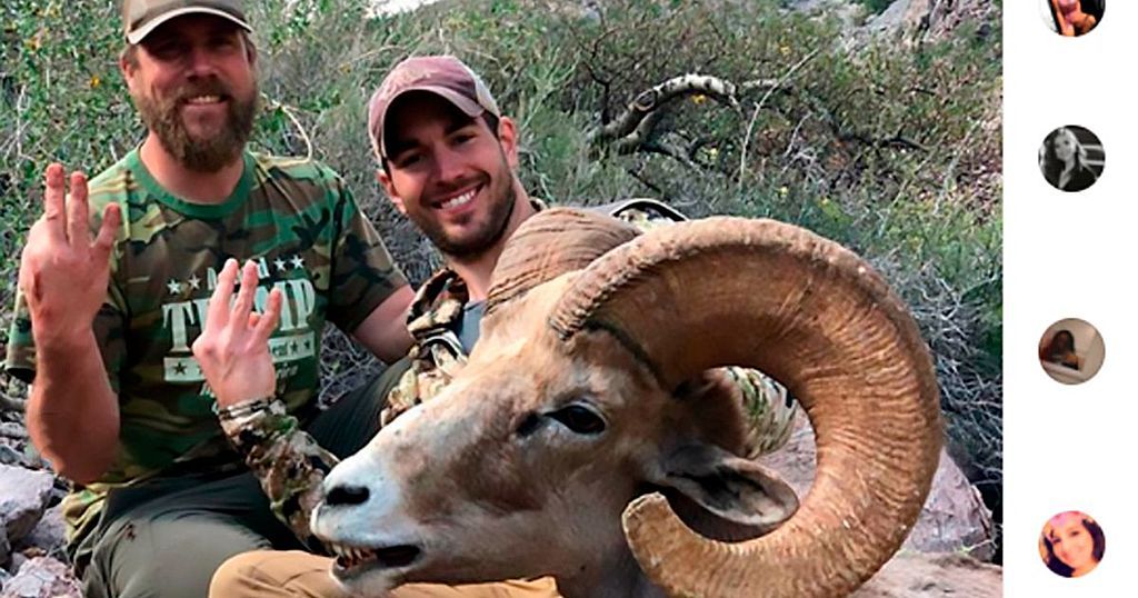 Sick trophy hunter proudly poses next to rare bighorn…