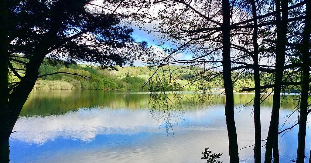 Jumbles Country Park guide: Walks, café, and parking